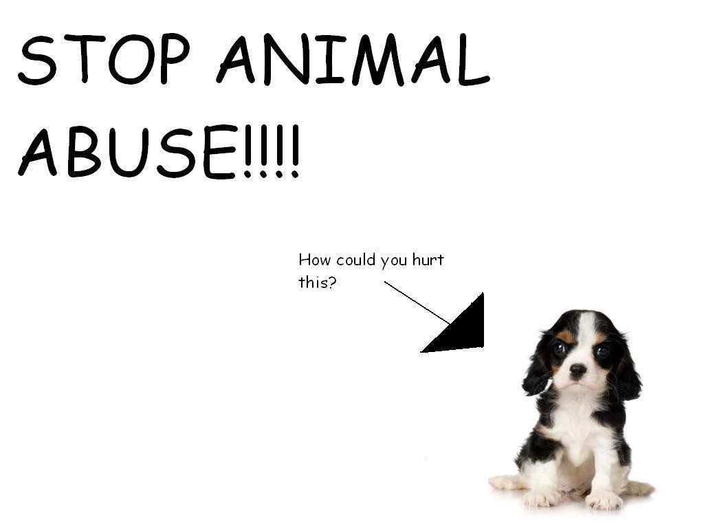 Animal Cruelty Blog Post #1 — Science Leadership Academy @ Center City
