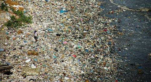 Littering and its Effect on the Environment — Science Leadership ...