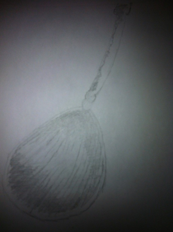 Gabrielle Arnold — Science Leadership Academy @ Center City