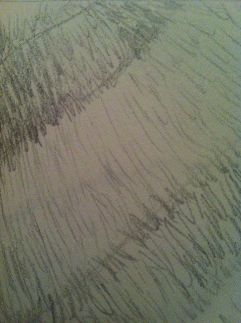 Gabrielle Arnold — Science Leadership Academy @ Center City