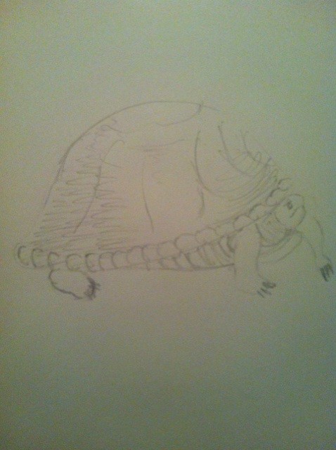 Gabrielle Arnold — Science Leadership Academy @ Center City