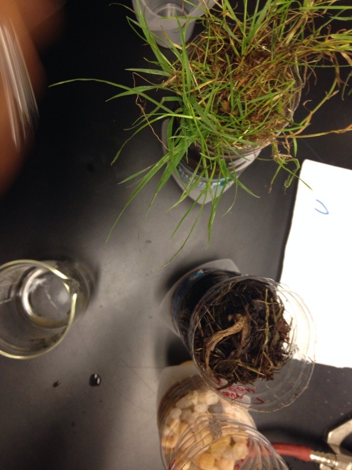 Sydne Hopkins-Baker — Science Leadership Academy @ Center City